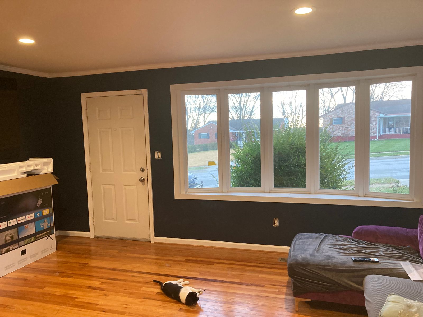 Goodnight Moon | Midnight Blue Paint Color | Clare
