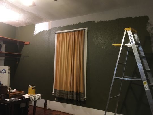 Field Trip | Forest Green Paint Color | Clare