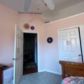 Baby Soft | Classic Pink Paint Color | Clare