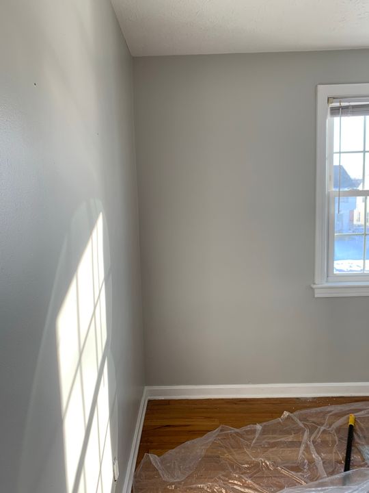 Windy City | Warm Gray Paint Color | Clare