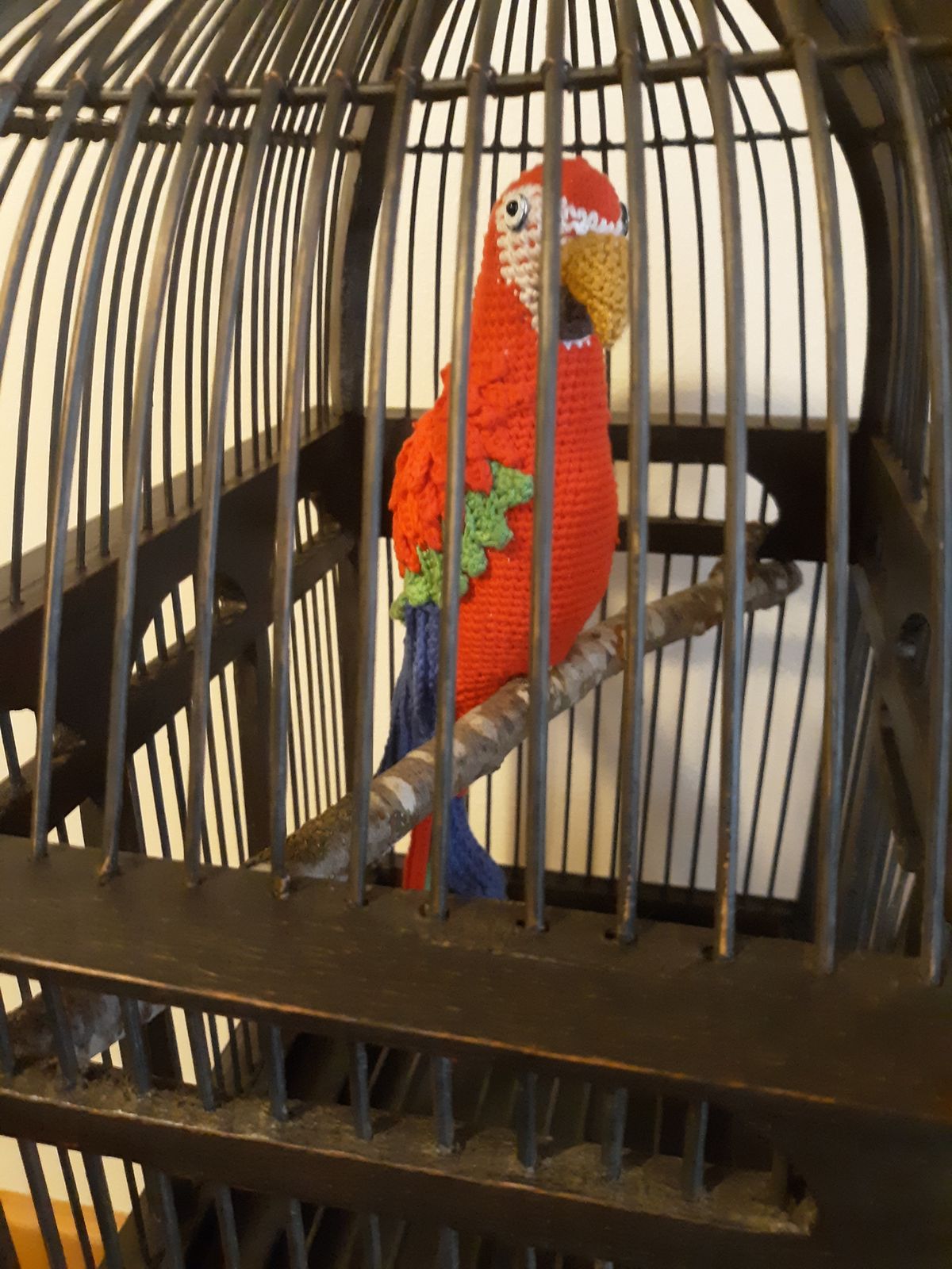 Premier Cotton Fair® – Premier Yarns