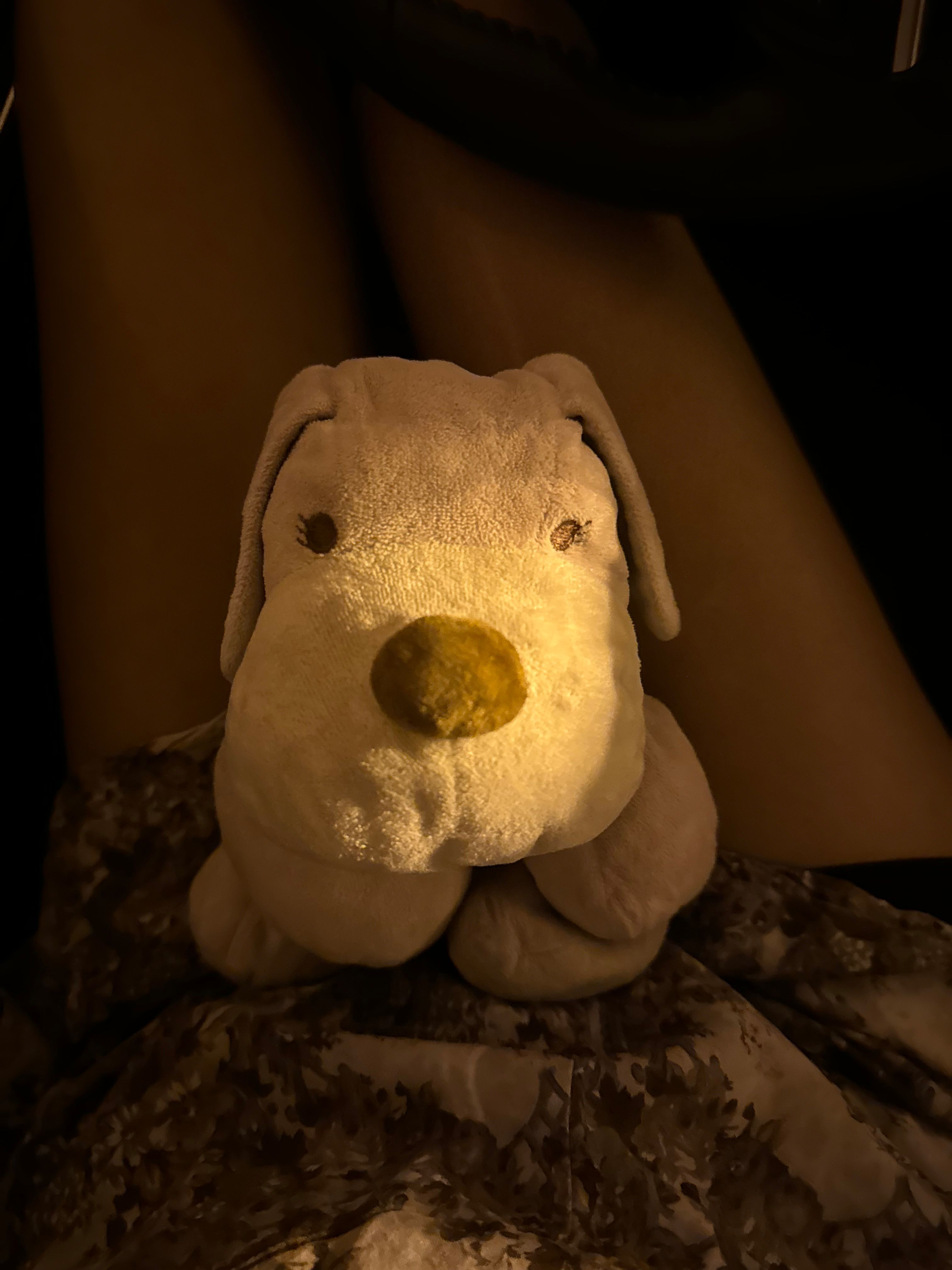 Penelope the Pup Plush 12 FAO Schwarz
