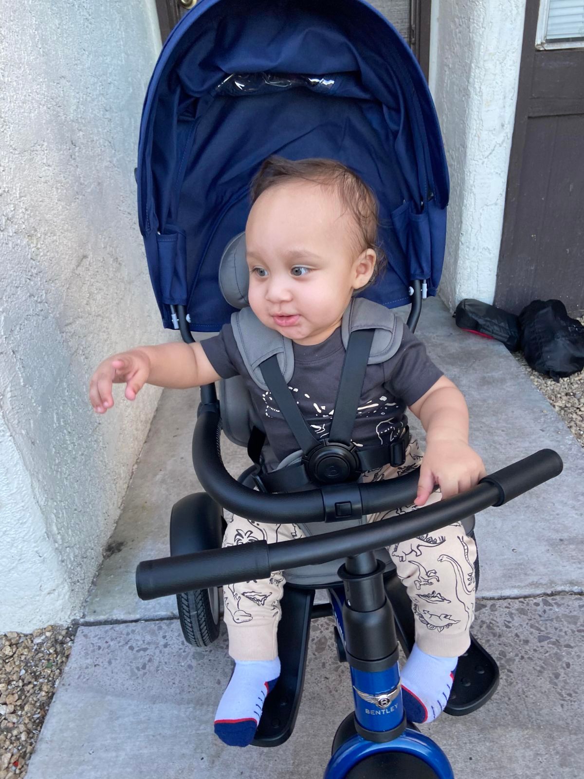 Bentley 6-in-1 Stroller Trike – BentleyTrikeCanada