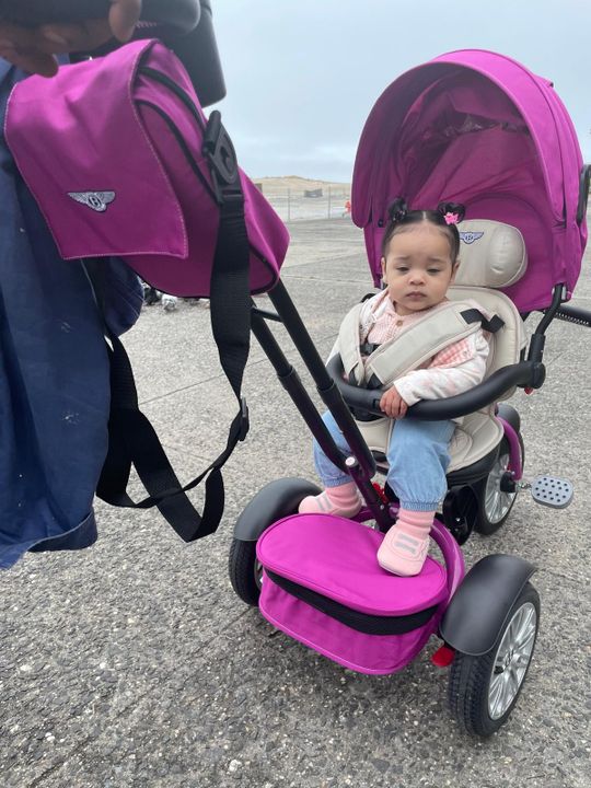 Mulliner Bentley 6 in 1 Stroller Trike (Limited Edition) – BentleyTrike