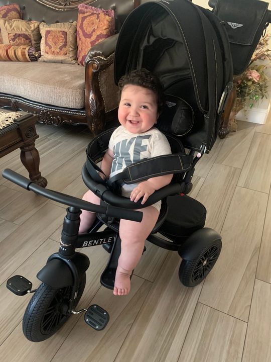 Centennial Bentley 6 in 1 Stroller Trike (Limited Edition) – BentleyTrike