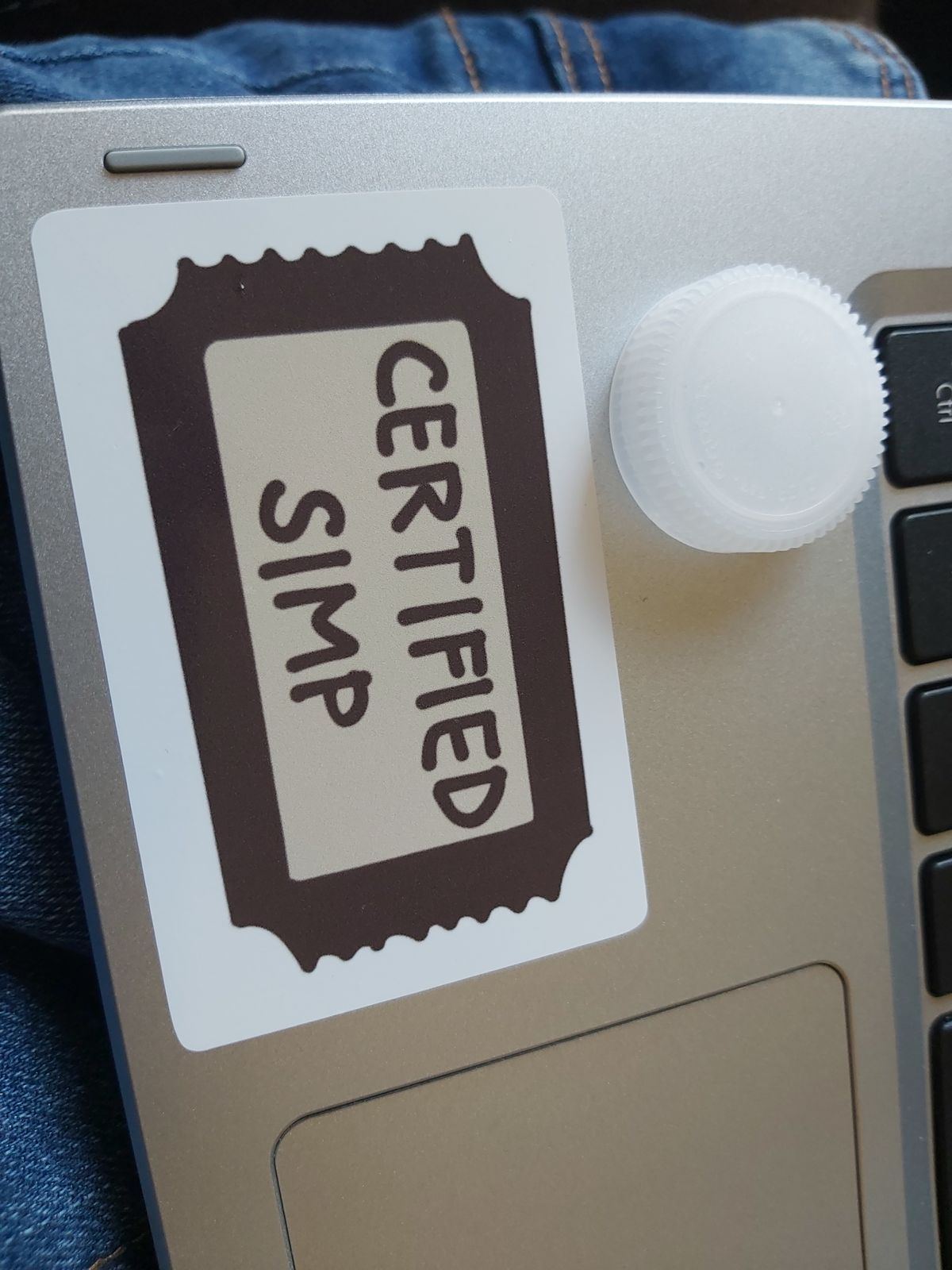 Kooleen: Certified Simp Sticker sheet (4 Pack) – Fanjoy