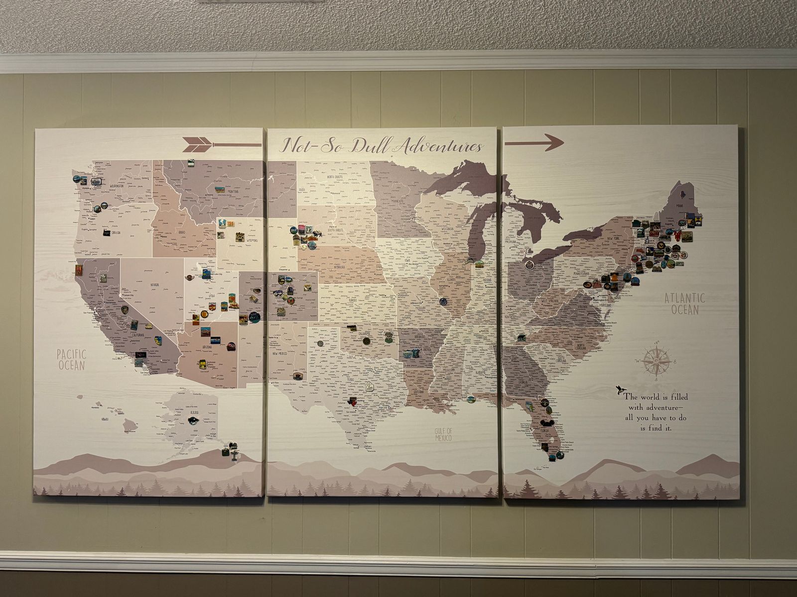 Modern Wood Push Pin World Map | Holy Cow Canvas