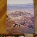Custom Canvas Prints & Canvas Wall Art | Holy Cow Canvas