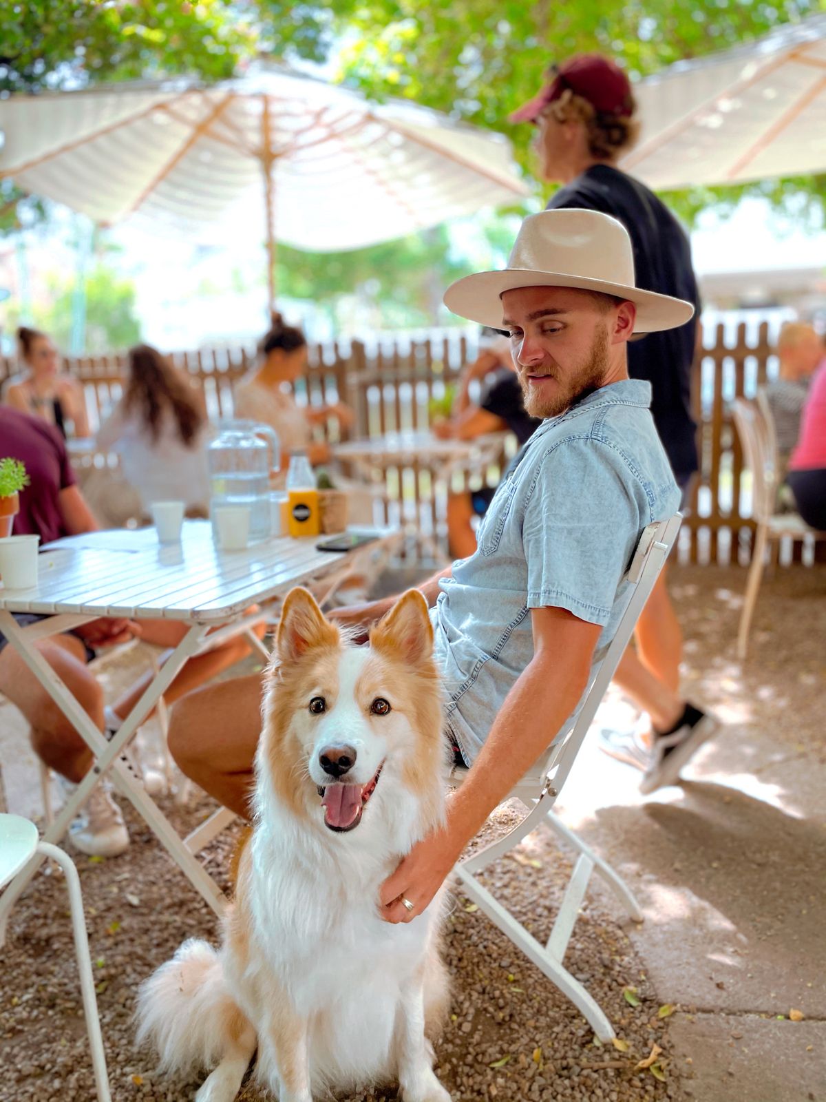 Andy Cream - Will & Bear