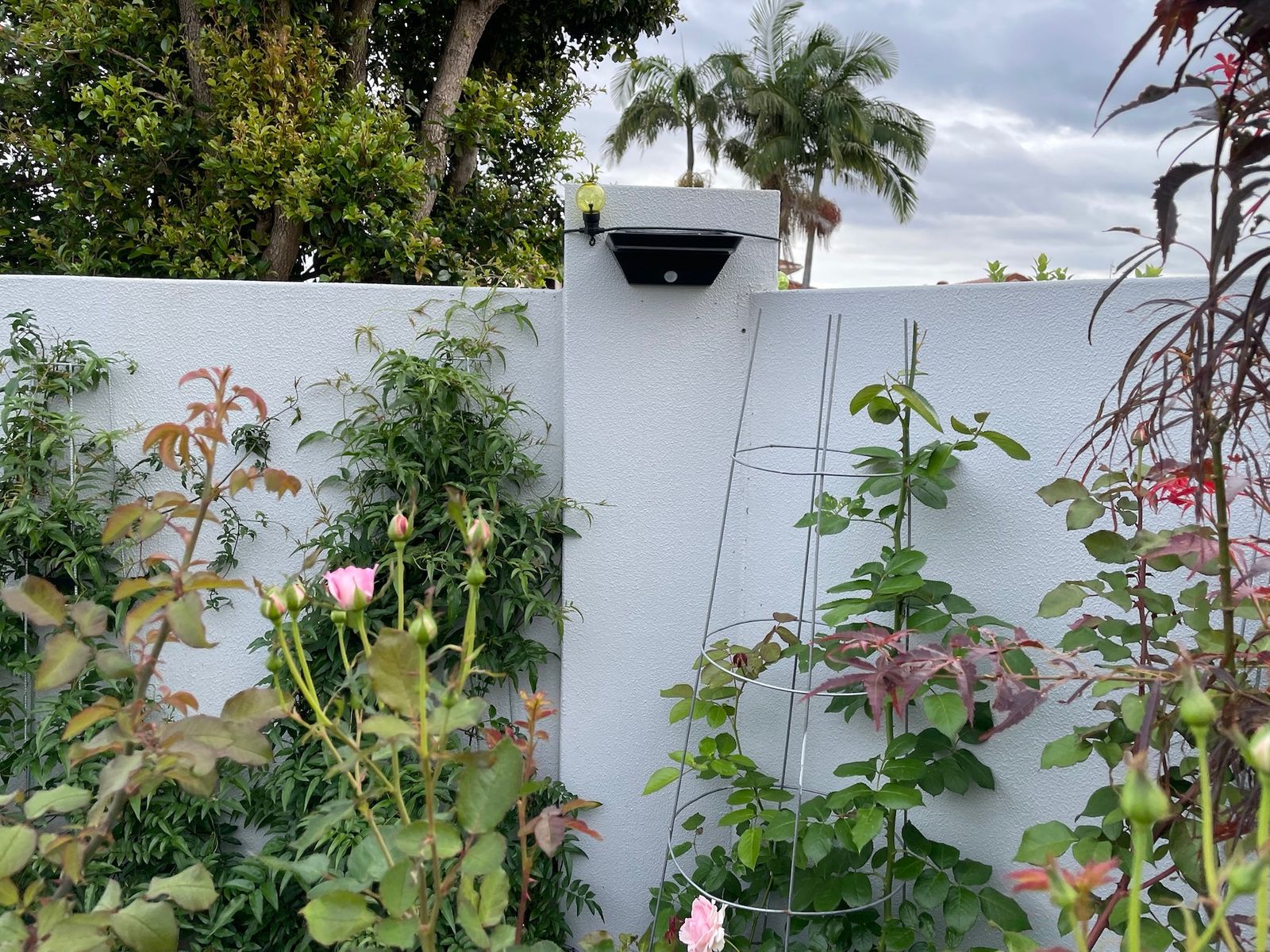 Solar Dusk To Dawn Sensor LED Outdoor Wall Light Polycarbonate Rust Pr ...