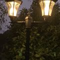 Solar Lighting Direct | SLDPL0009B-7.6W | Double Head LED Coach Post ...