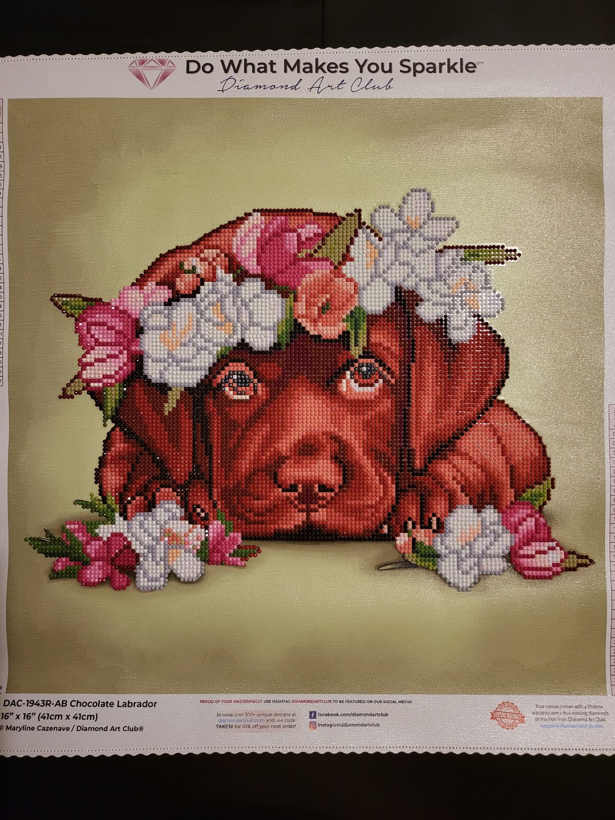 Chocolate Labrador – Diamond Art Club