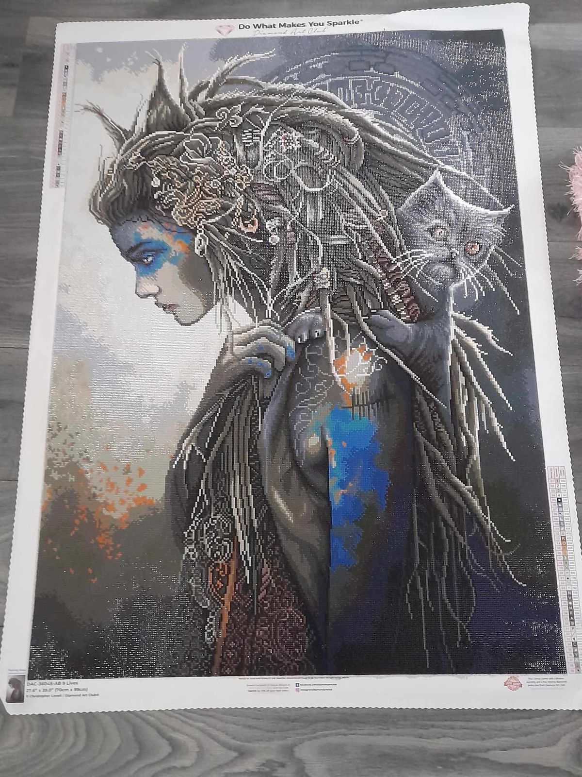 9 Lives – Diamond Art Club