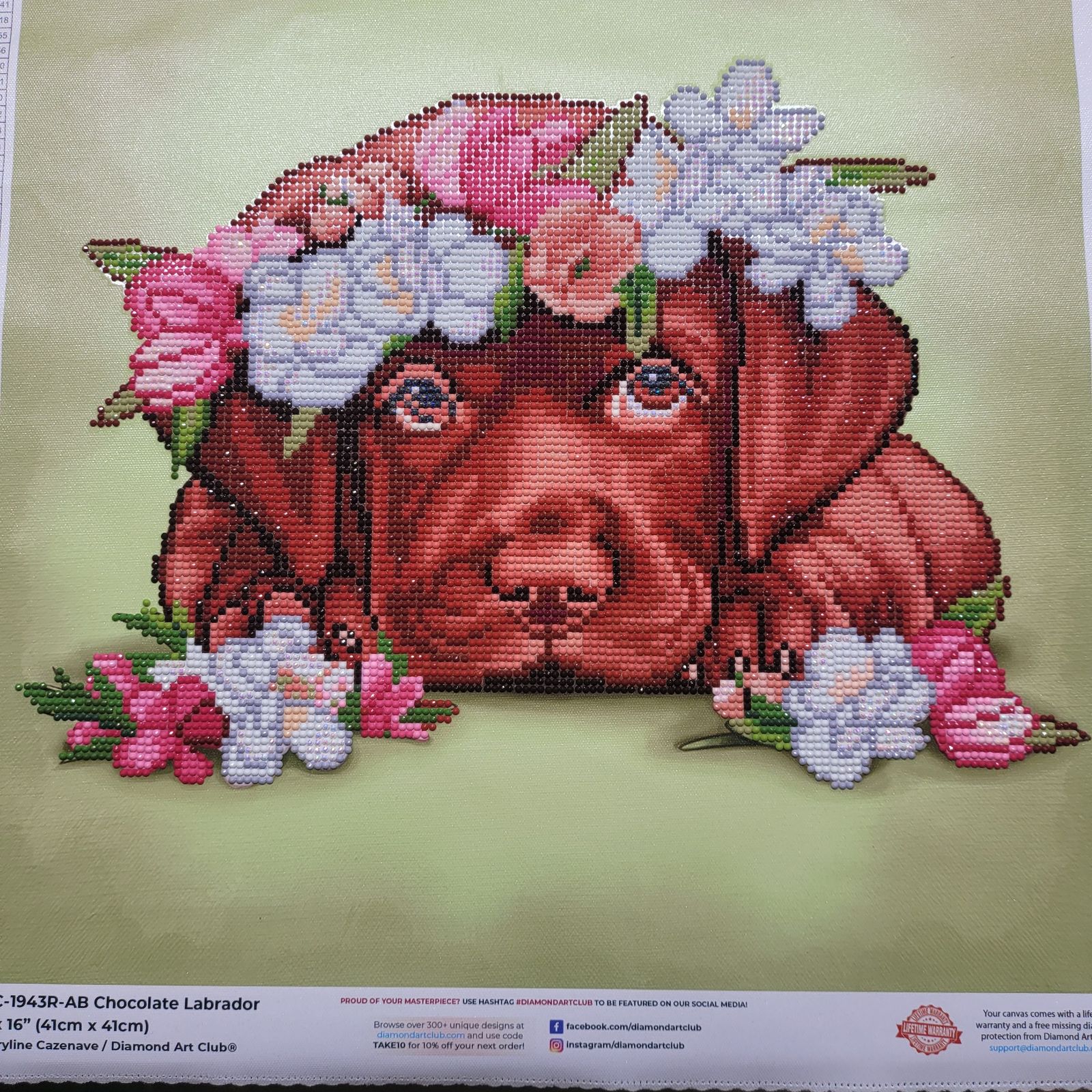 Chocolate Labrador – Diamond Art Club