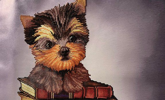 Yorkie & Magic Books – Diamond Art Club