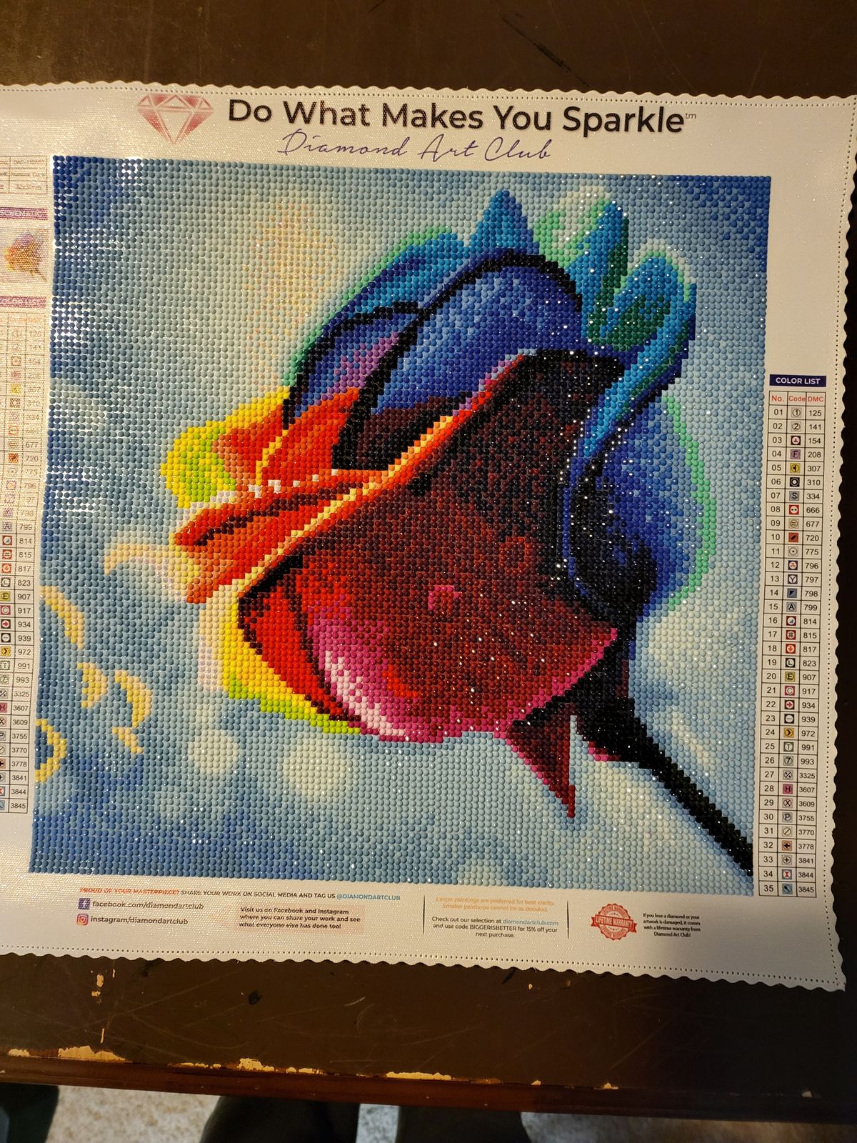 Rainbow Rose – Diamond Art Club