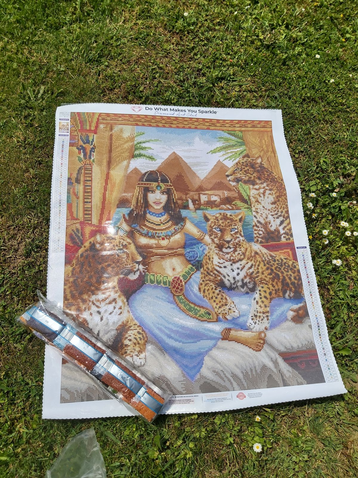 Egyptian Queen of the Leopards – Diamond Art Club