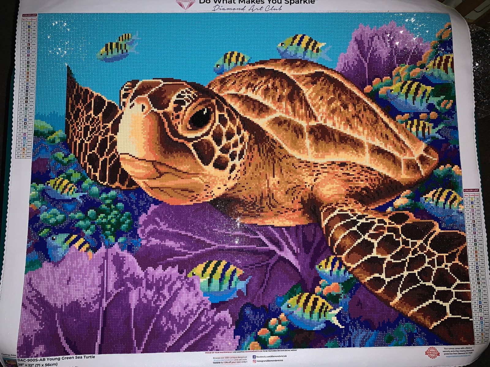 Young Green Sea Turtle – Diamond Art Club