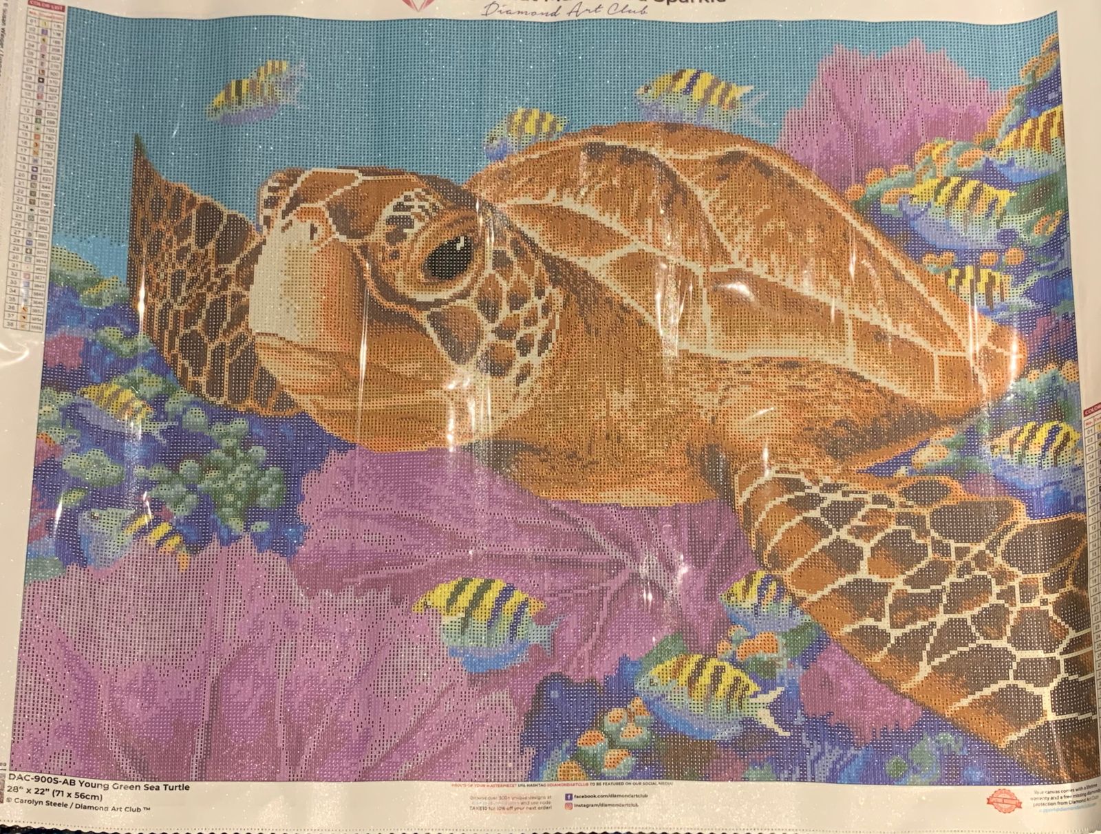 Young Green Sea Turtle – Diamond Art Club