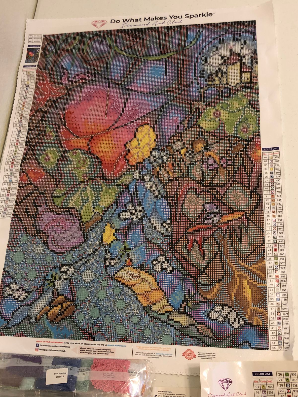 Wonderland Diamond Painting | Diamond Art Club™
