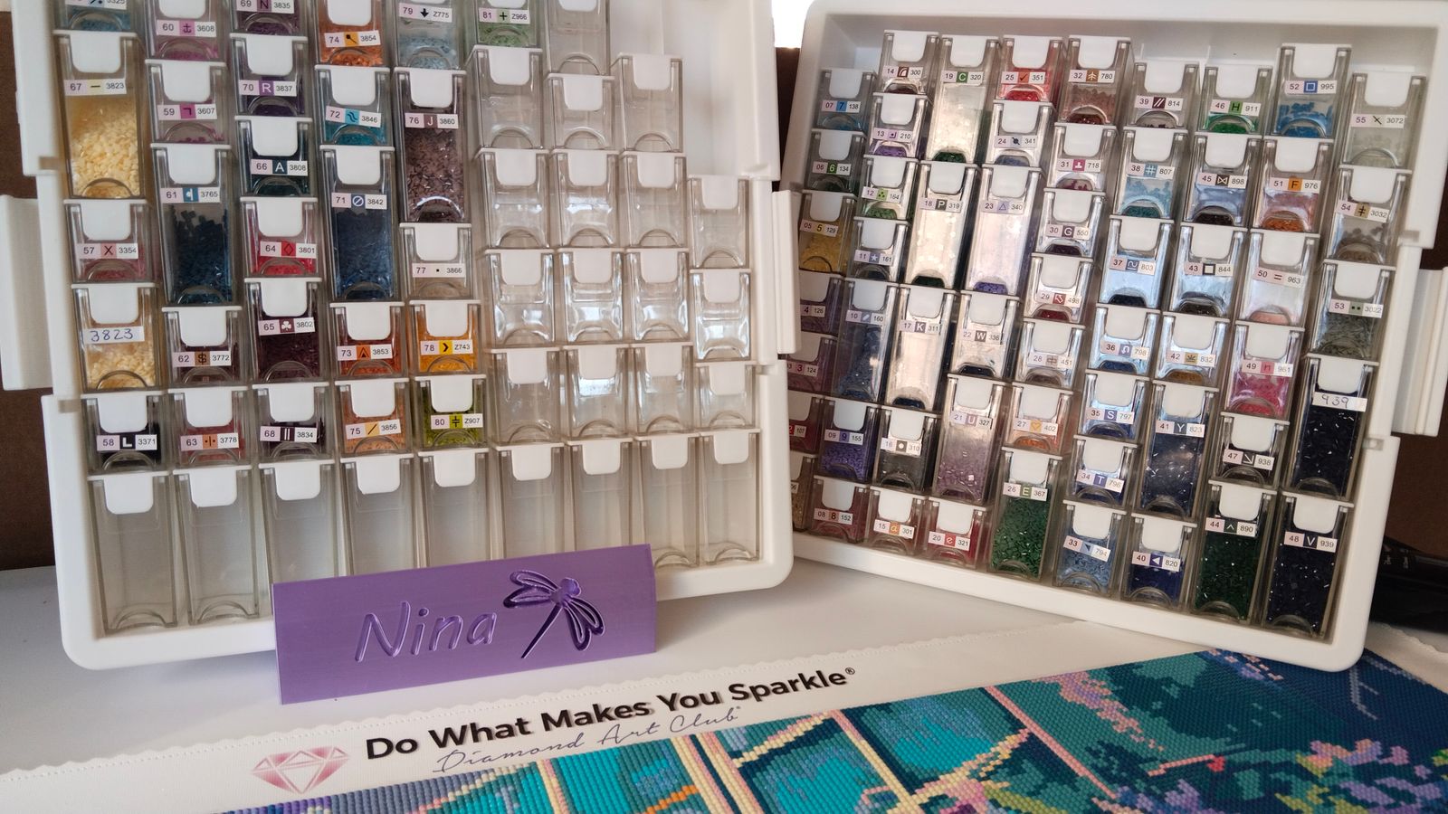 Premium 54-Container Diamond Storage Organizer – Diamond Art Club