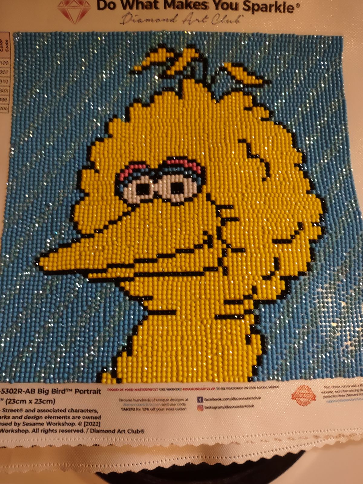 Big Bird™ Portrait – Diamond Art Club
