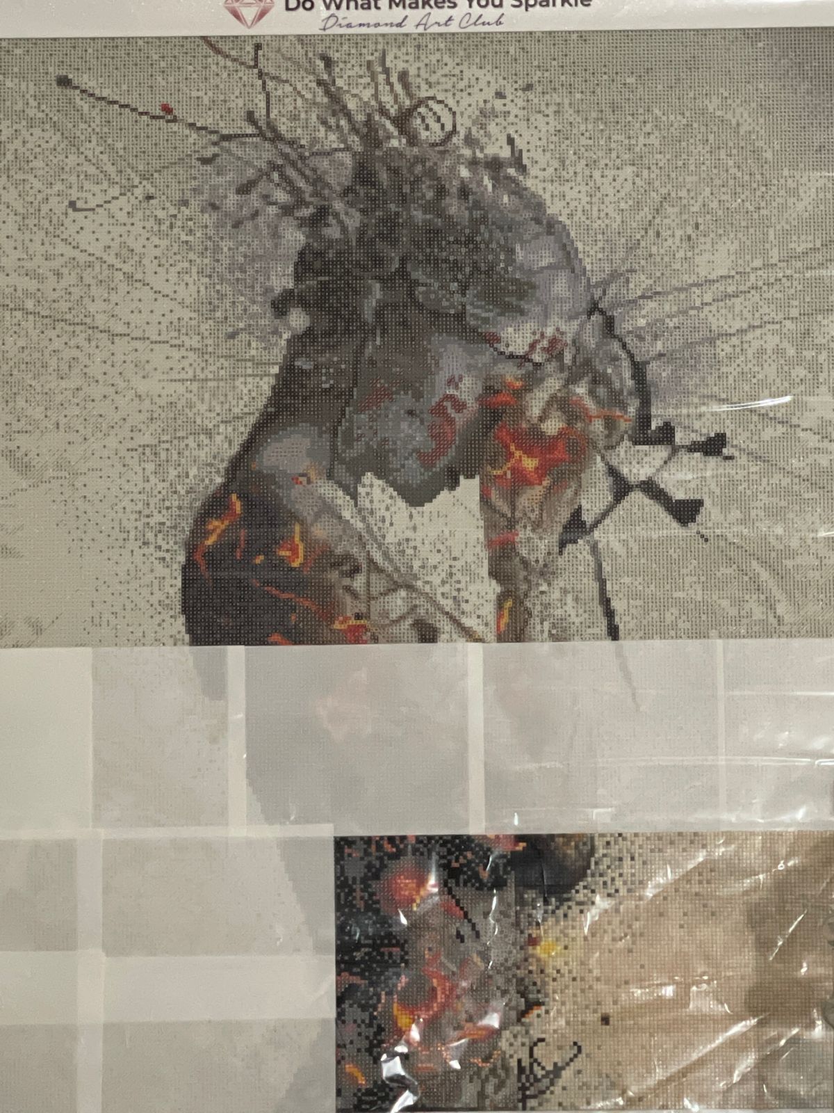 Deliberation – Diamond Art Club