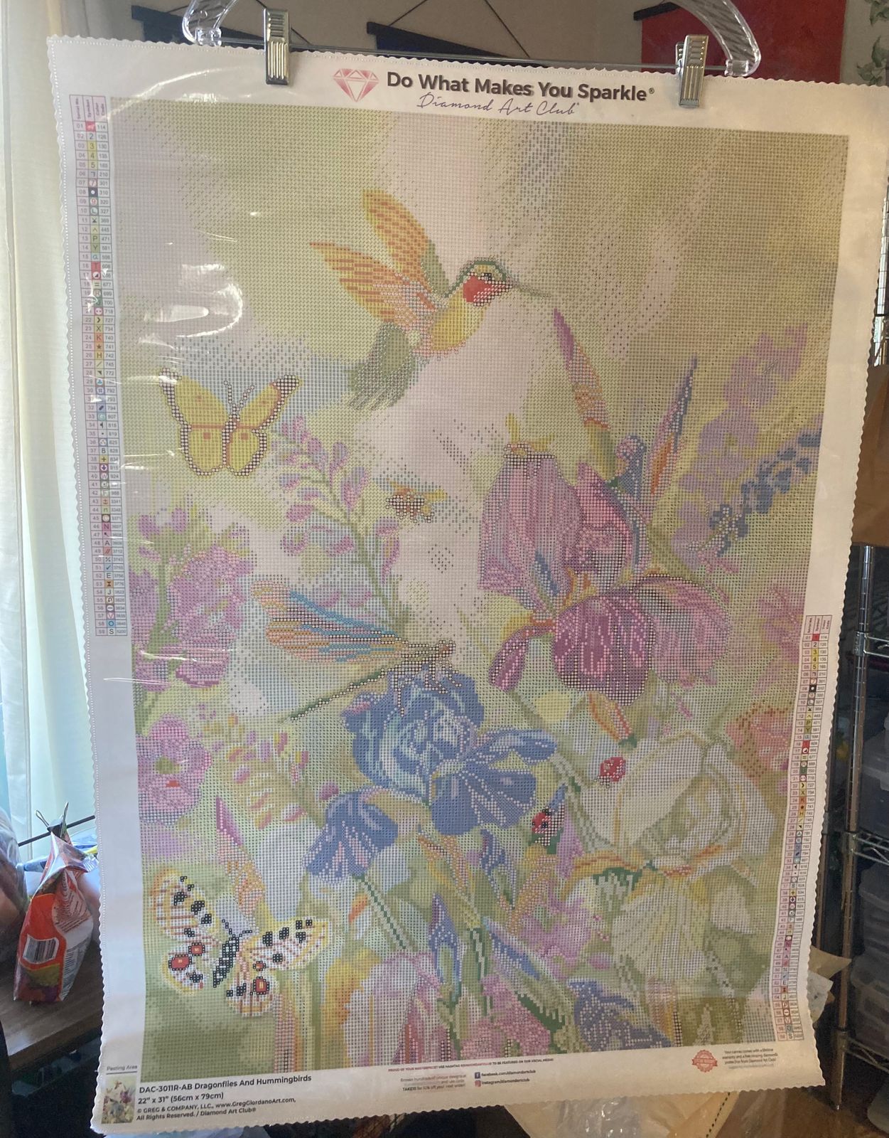Dragonflies and Hummingbirds – Diamond Art Club