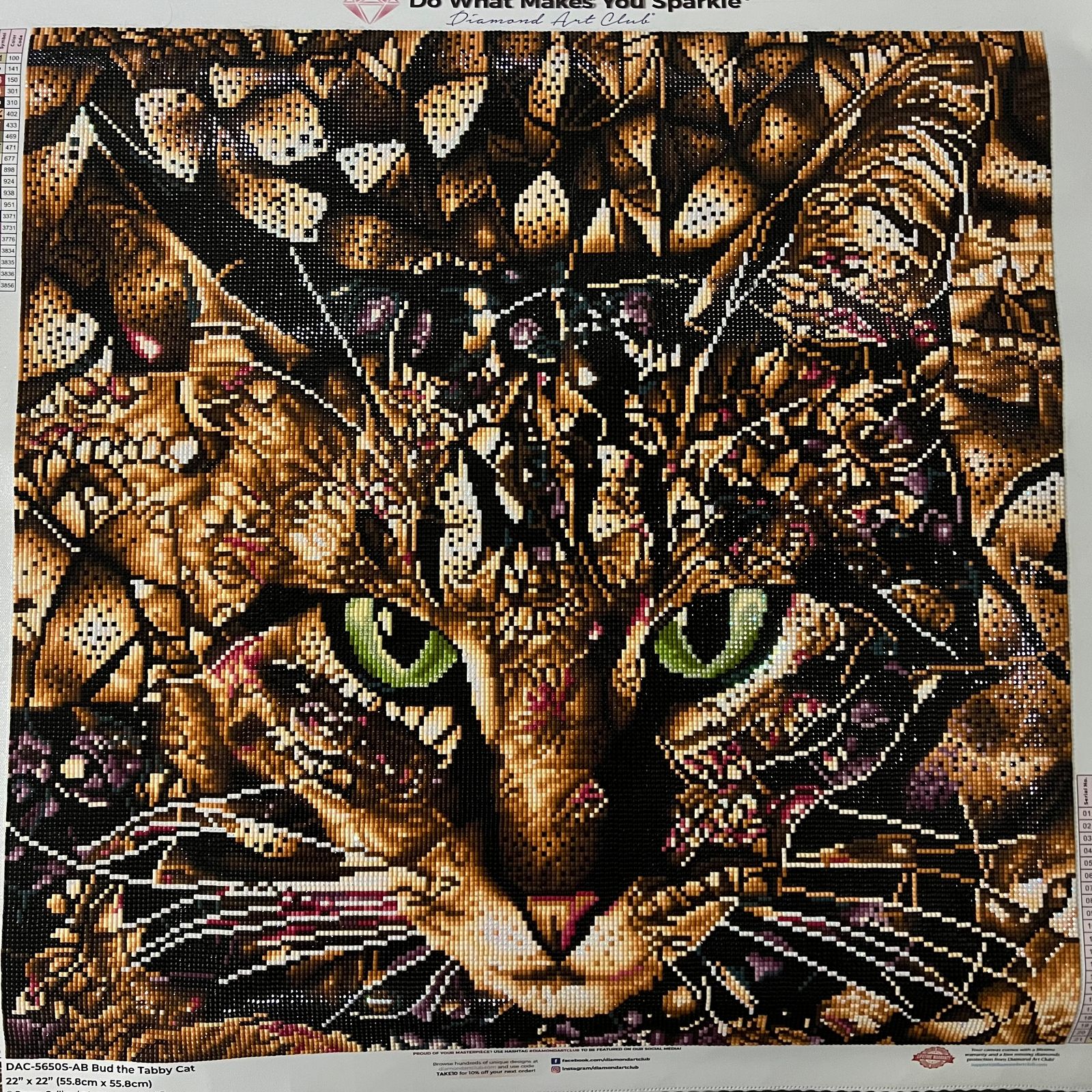 Bud the Tabby Cat – Diamond Art Club