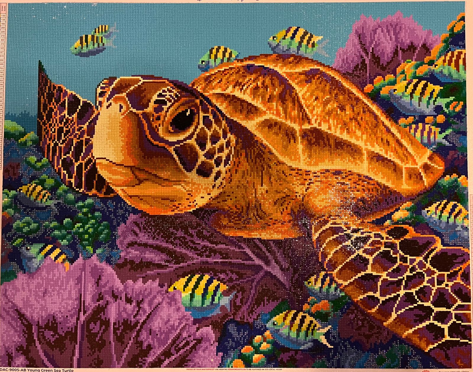 Young Green Sea Turtle – Diamond Art Club