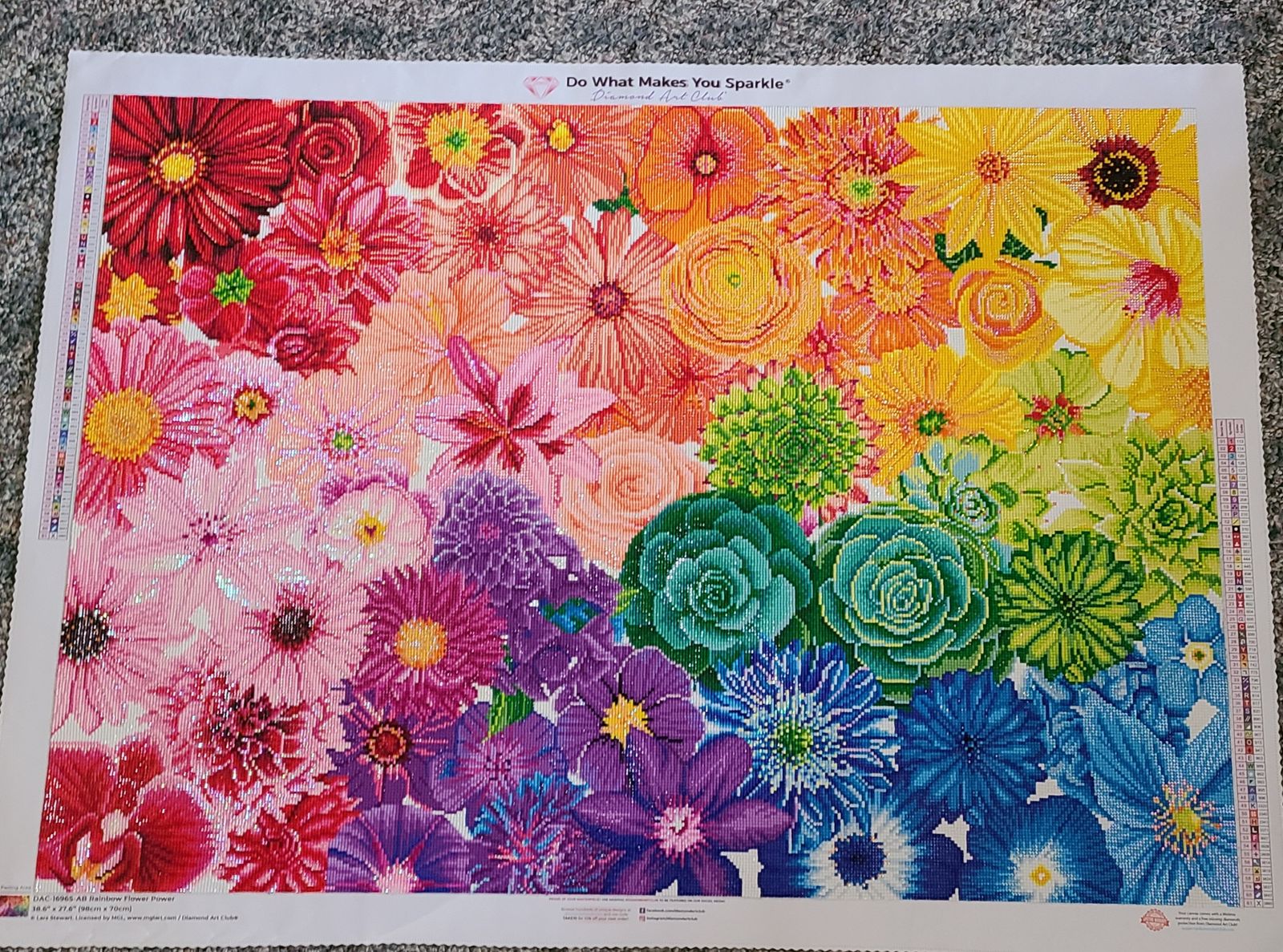 Rainbow Flower Power – Diamond Art Club