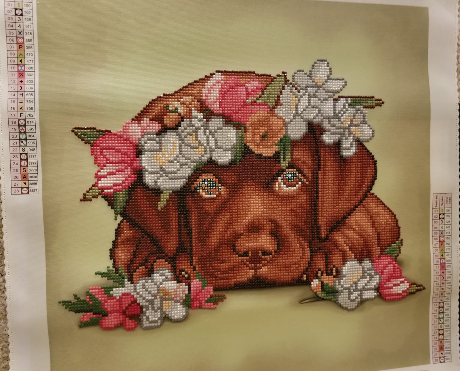 Chocolate Labrador – Diamond Art Club