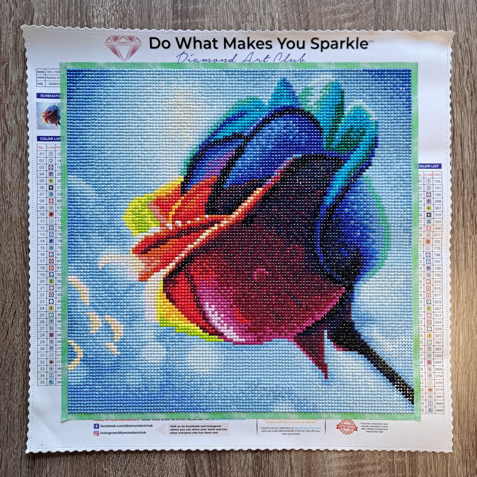 Rainbow Rose – Diamond Art Club
