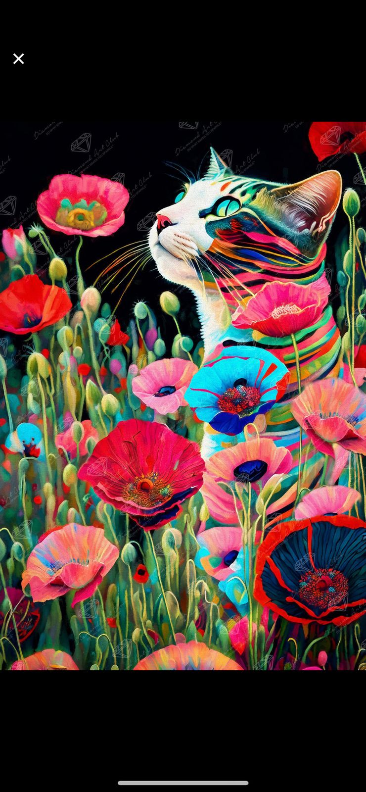 A Cat Named Poppy – Diamond Art Club