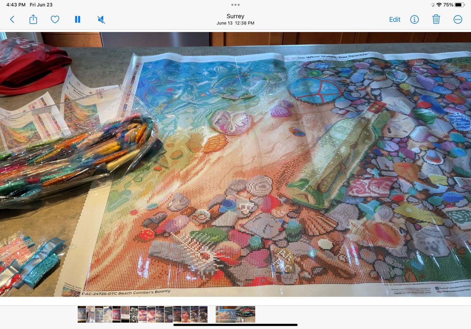 Beachcomber's Bounty Diamond Art Painting | Diamond Art Club