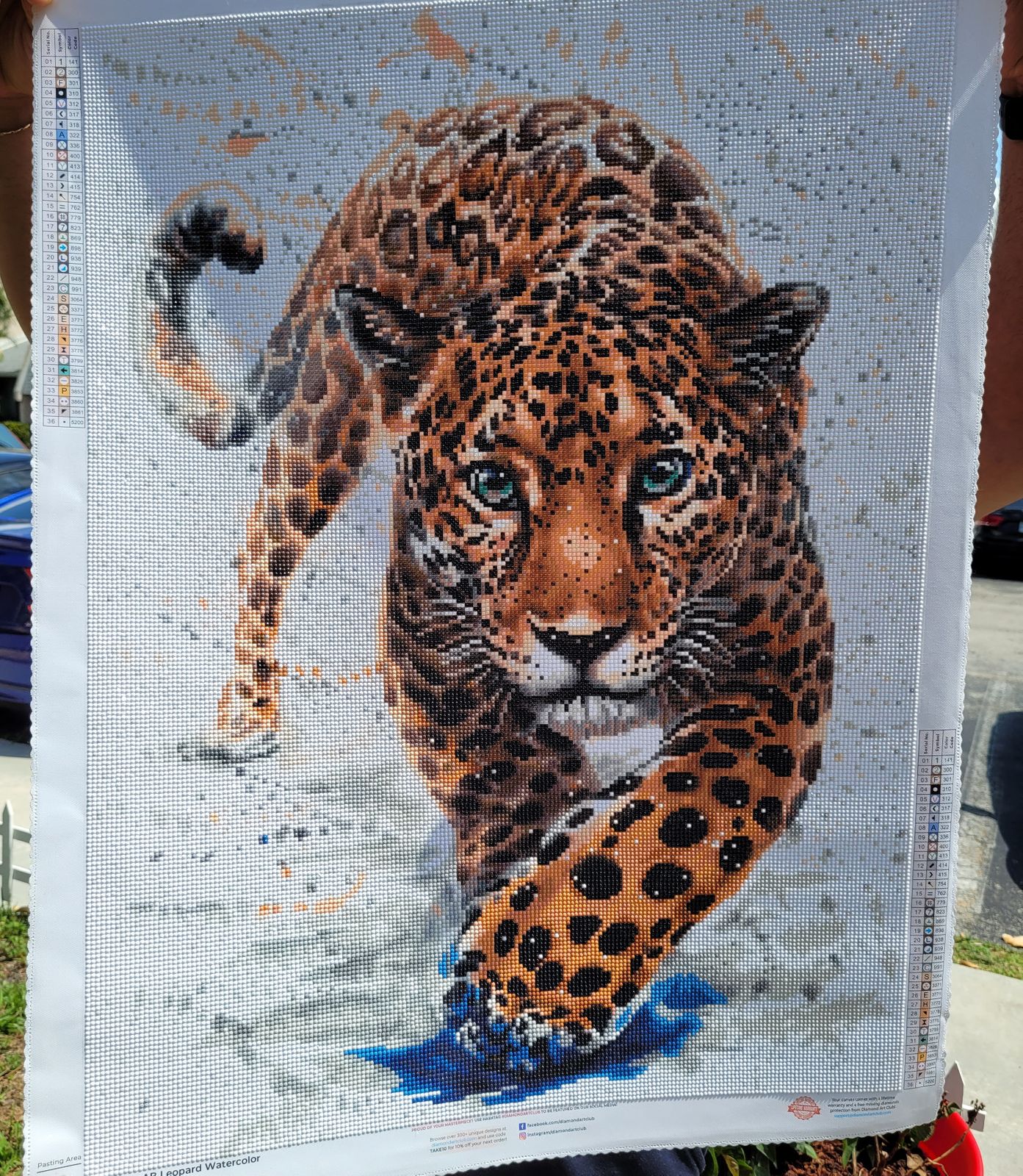 Leopard Watercolor – Diamond Art Club