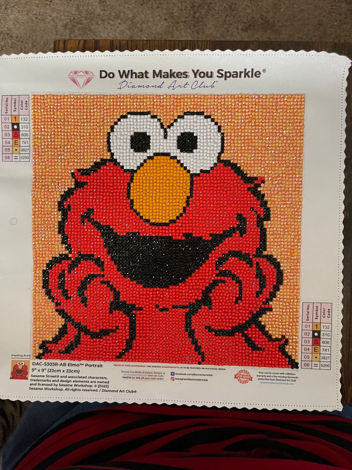 Elmo™ Portrait – Diamond Art Club