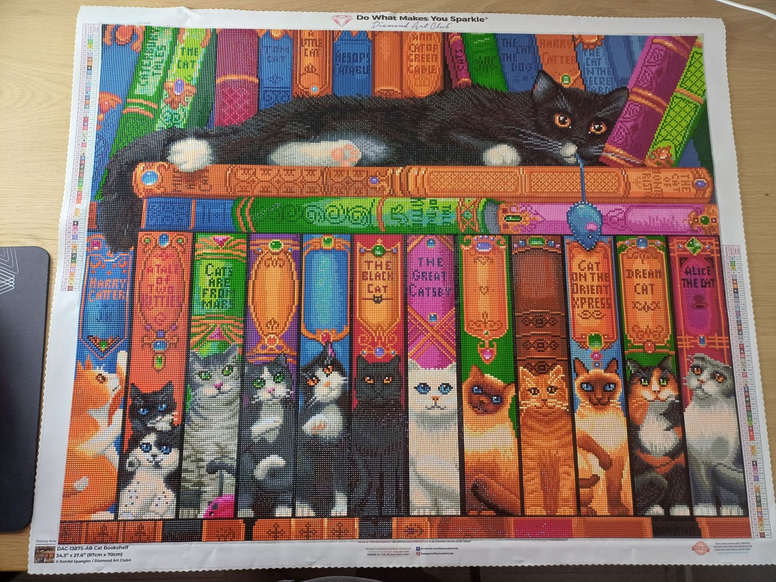 Cat Bookshelf – Diamond Art Club