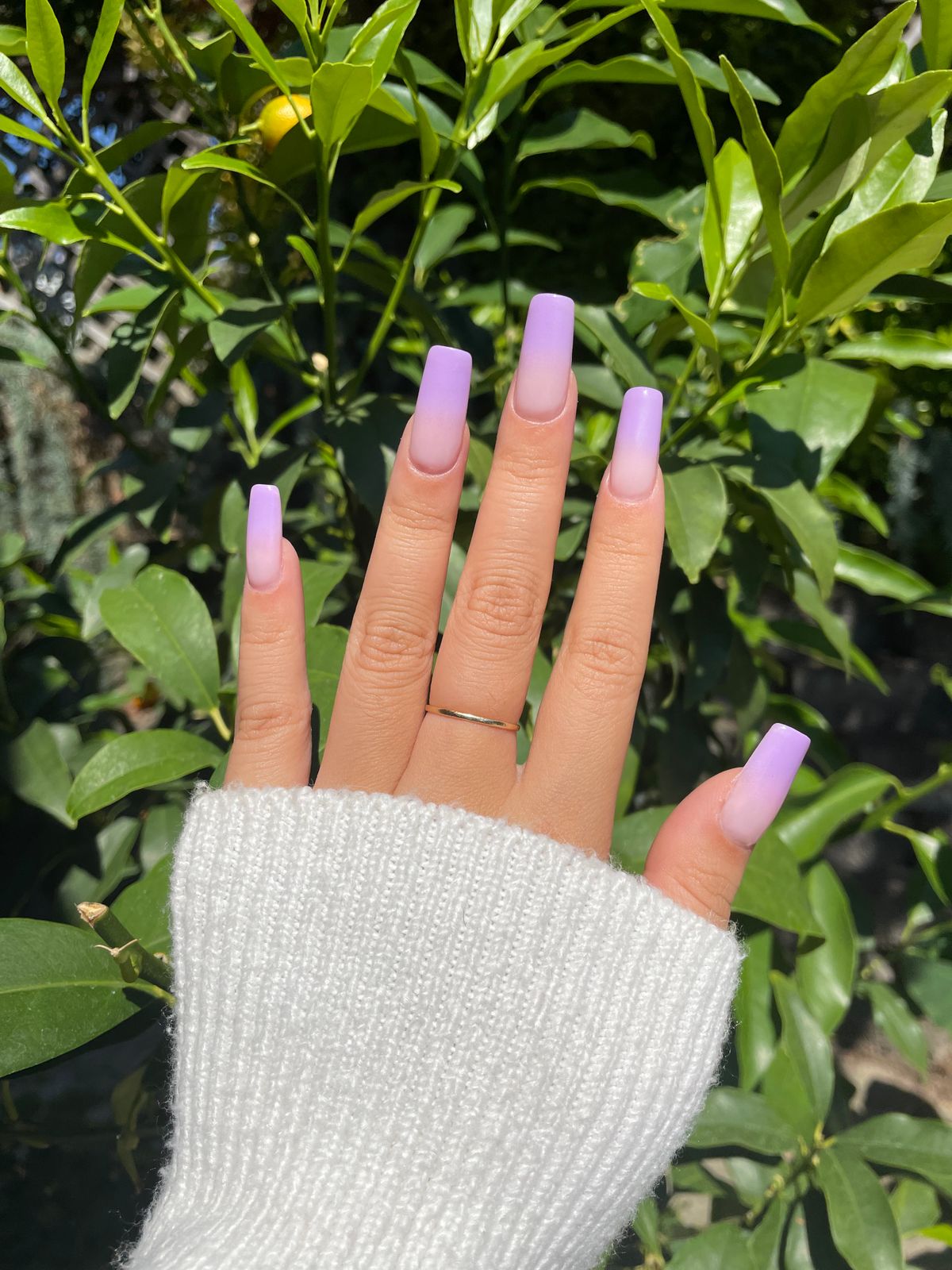 Builder | Gelly Tips | Kiara Sky