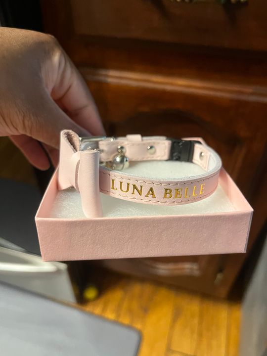 Cheshire & Wain - Rococo Petal Pink Luxury Cat Collar