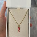 Cornicello Red Charm Necklace - Arms Of Eve USA