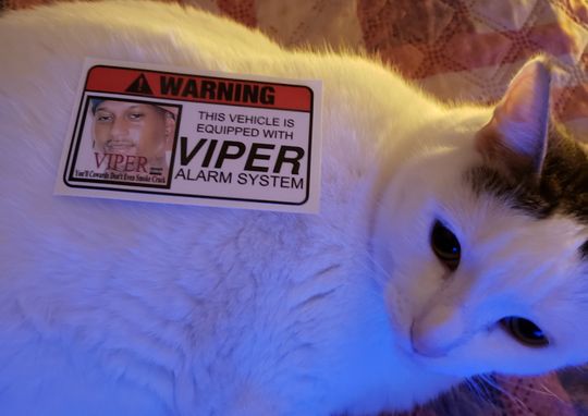 Viper Alarm System Vinyl Sticker – KommandoStore