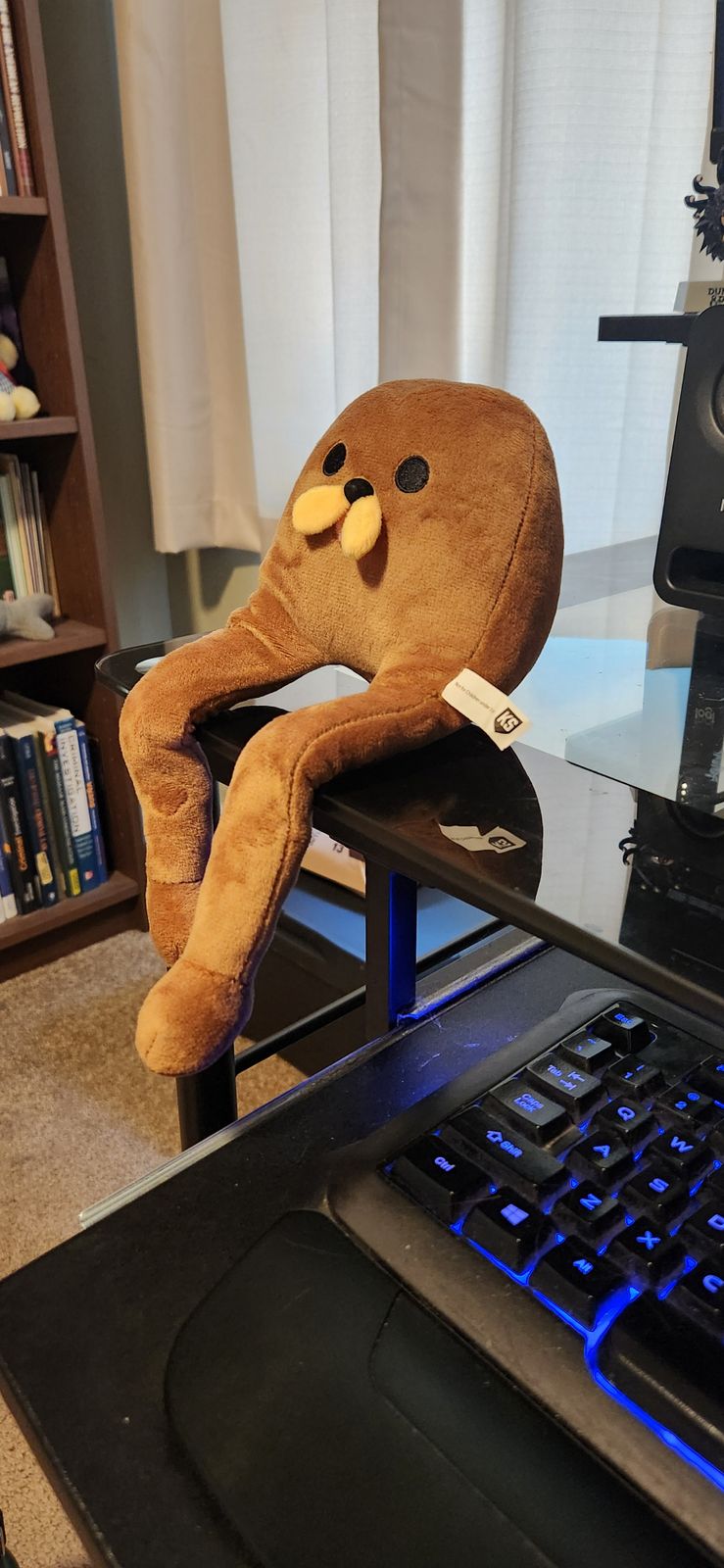 Gondola The Plush – KommandoStore