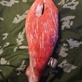 Human Steak - Official DayZ Plush – KommandoStore
